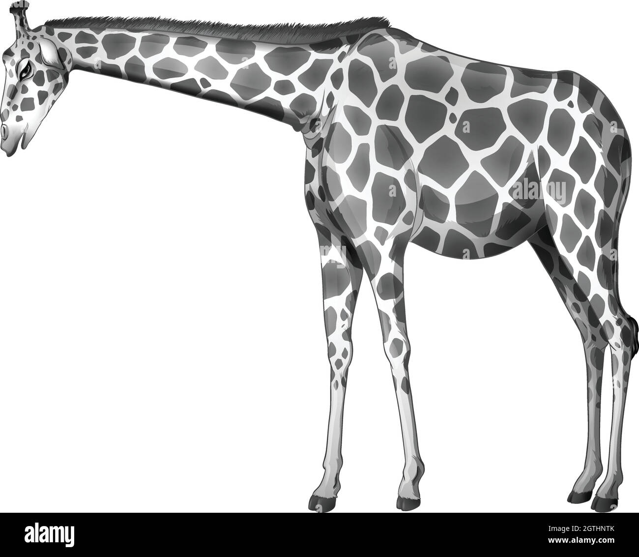 Giraffe illustration hi-res stock photography and images - Alamy