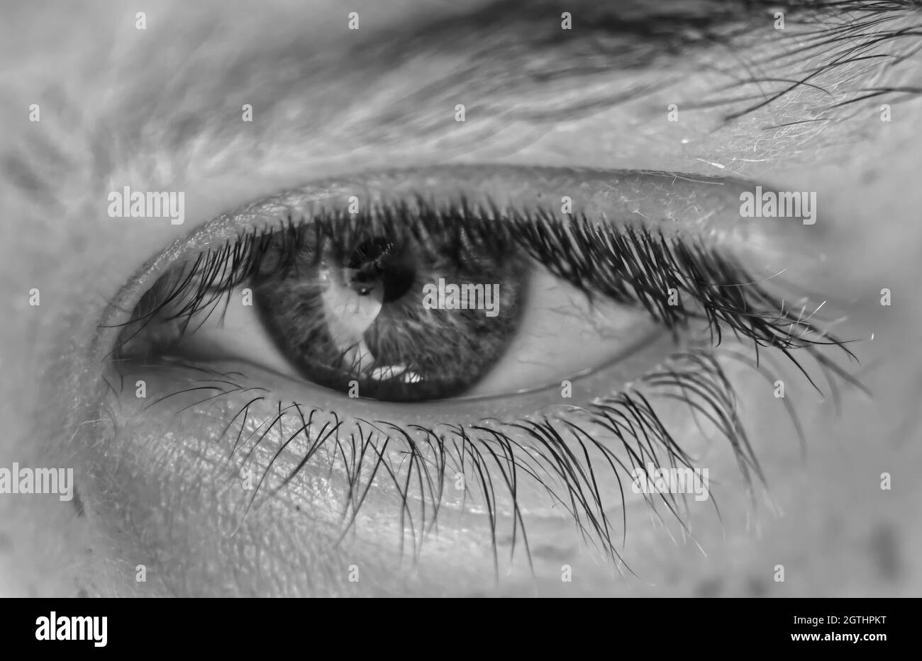 Human eye close up black and white hi-res stock photography and images ...