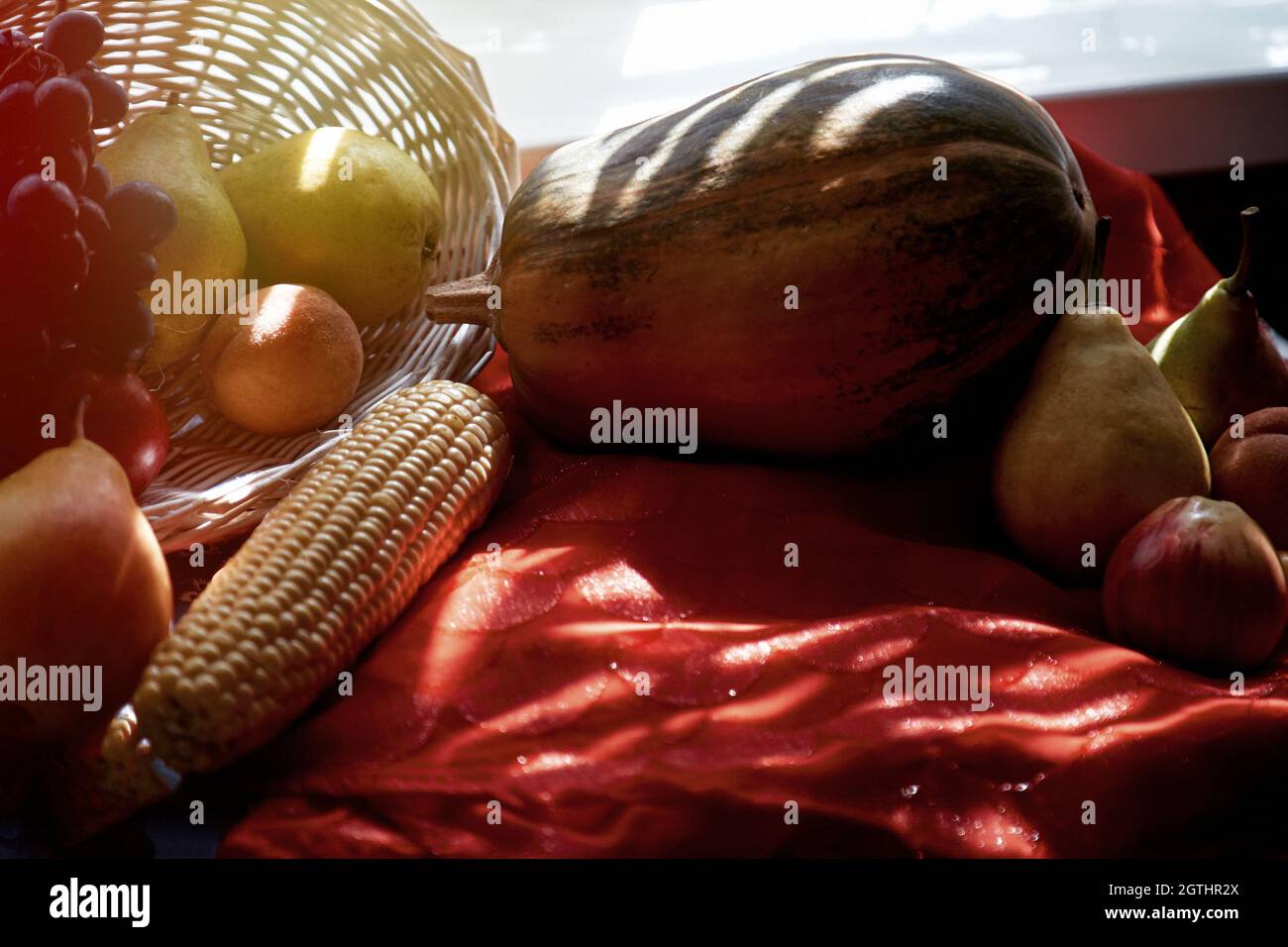 Autumn creative mood board concept: fruits and vegetables, pumpkin ...