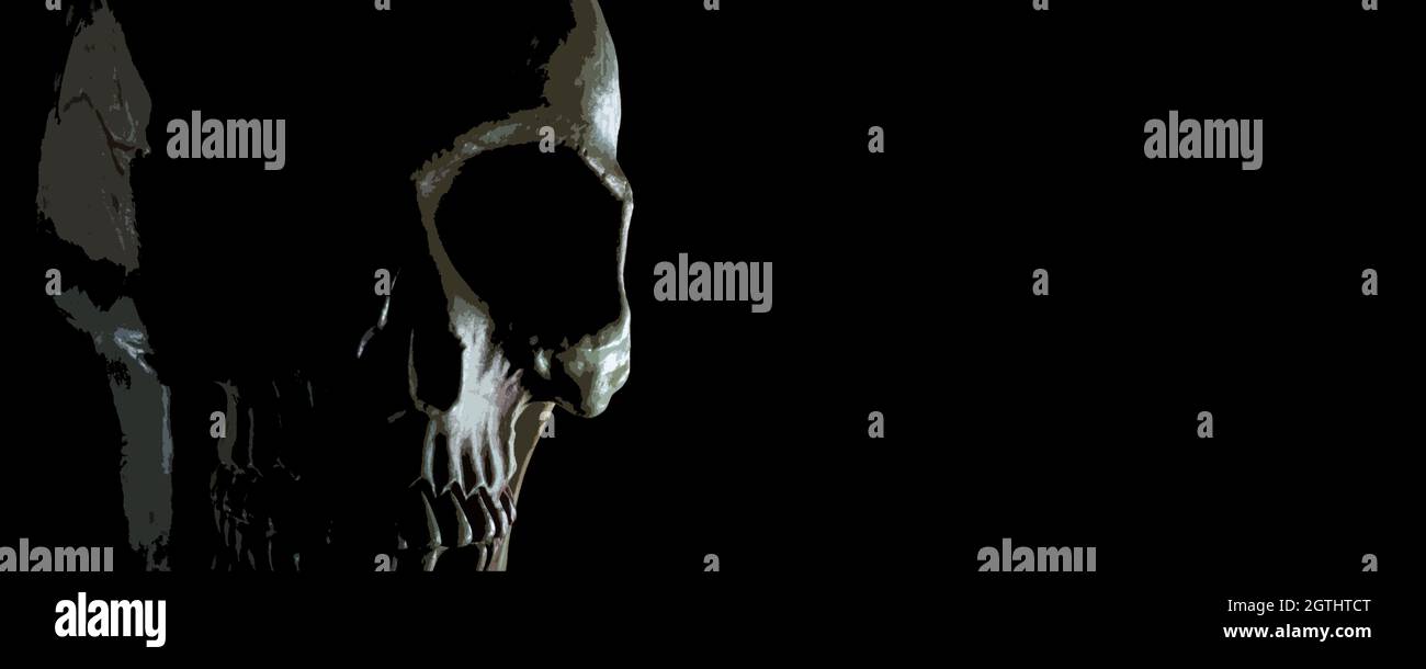 Illustratition of a human skull with rim lighting from the left on a ...