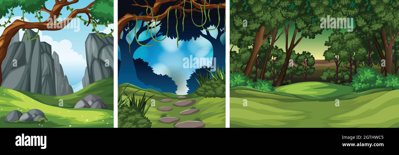 Set of tropical rainforest background Stock Vector Image & Art - Alamy