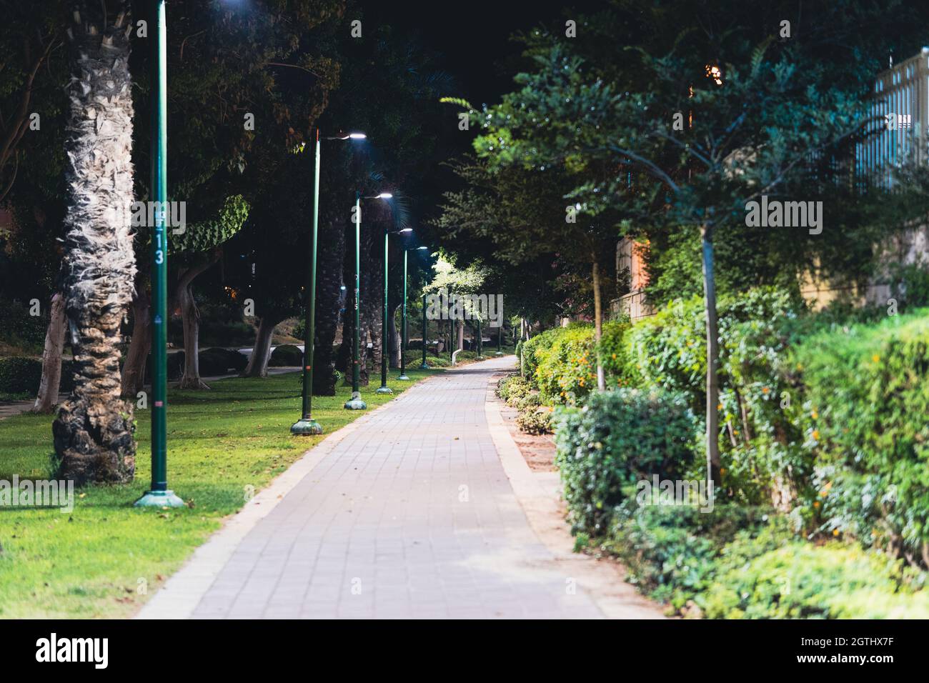 Walking path in the beautiful green park in night Stock Photo - Alamy