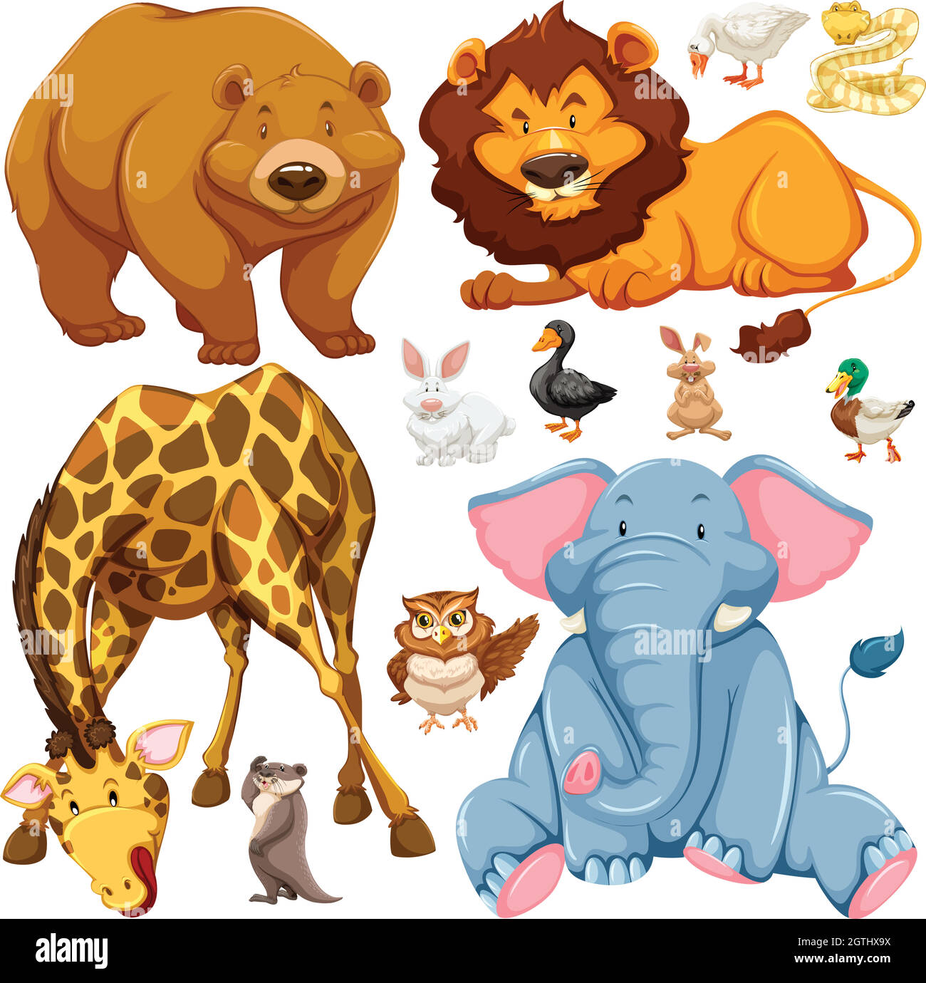 Different types of wild animals Stock Vector Image & Art - Alamy