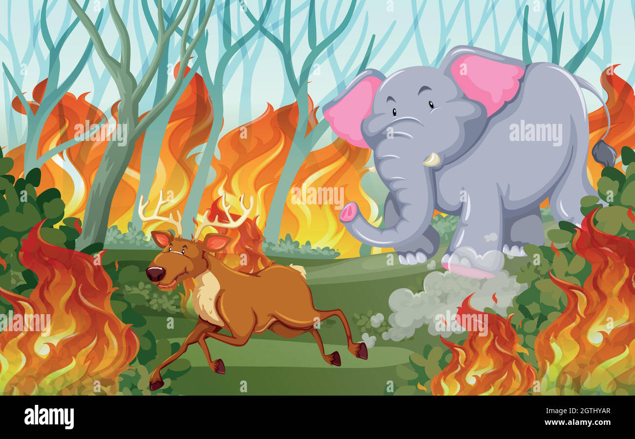 Animals run away from wildfire Stock Vector Image & Art - Alamy