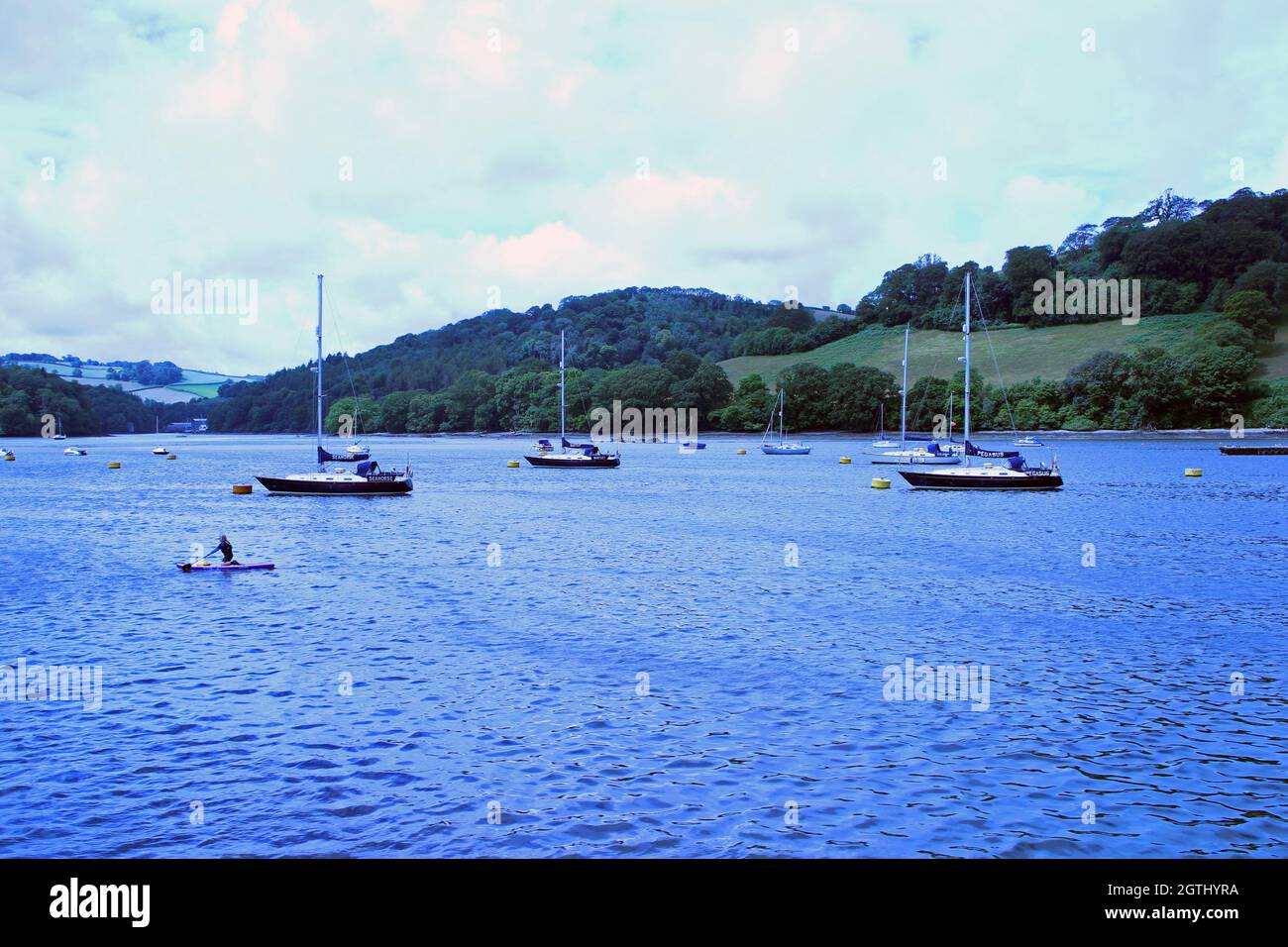 Views of boats from tourist trip on the river Dart, Devon Stock Photo ...