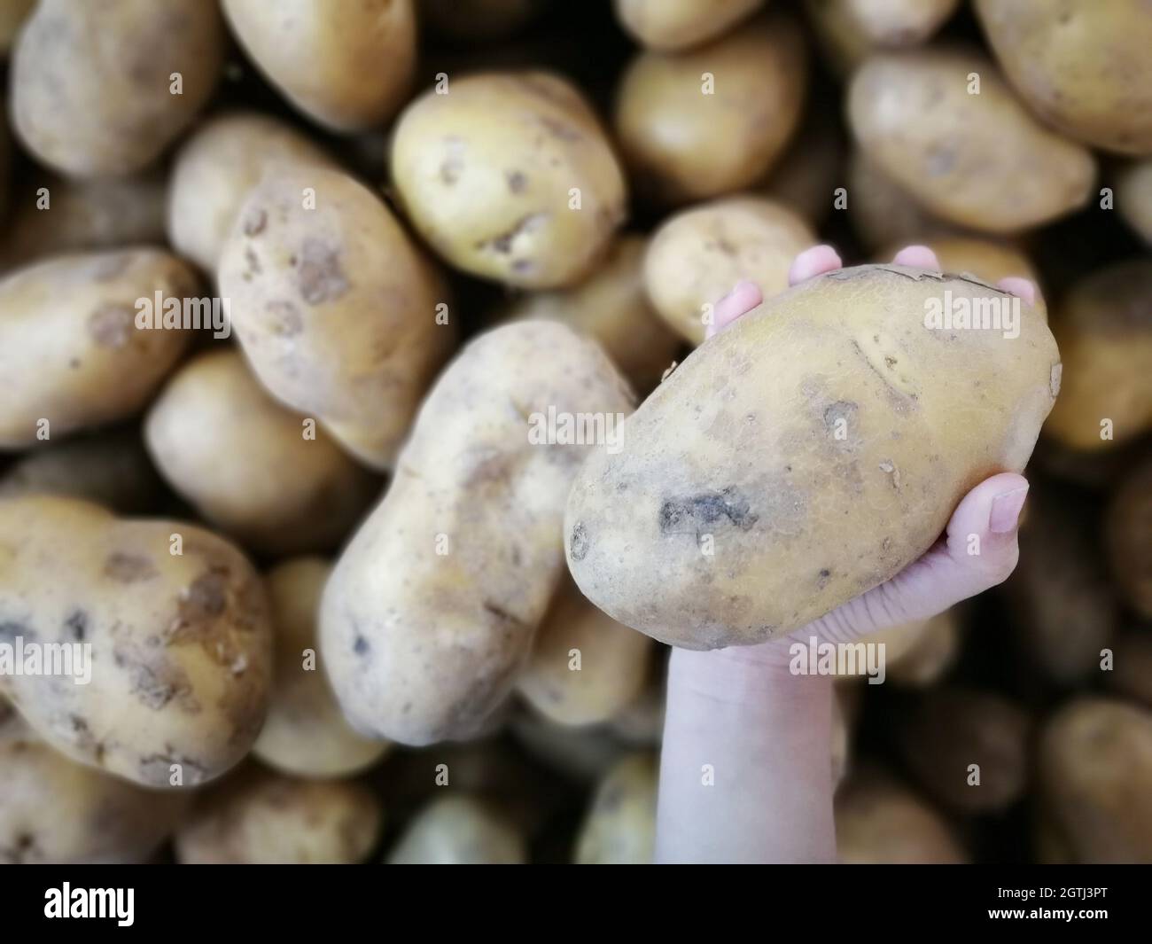 Pick up potato hi-res stock photography and images - Alamy