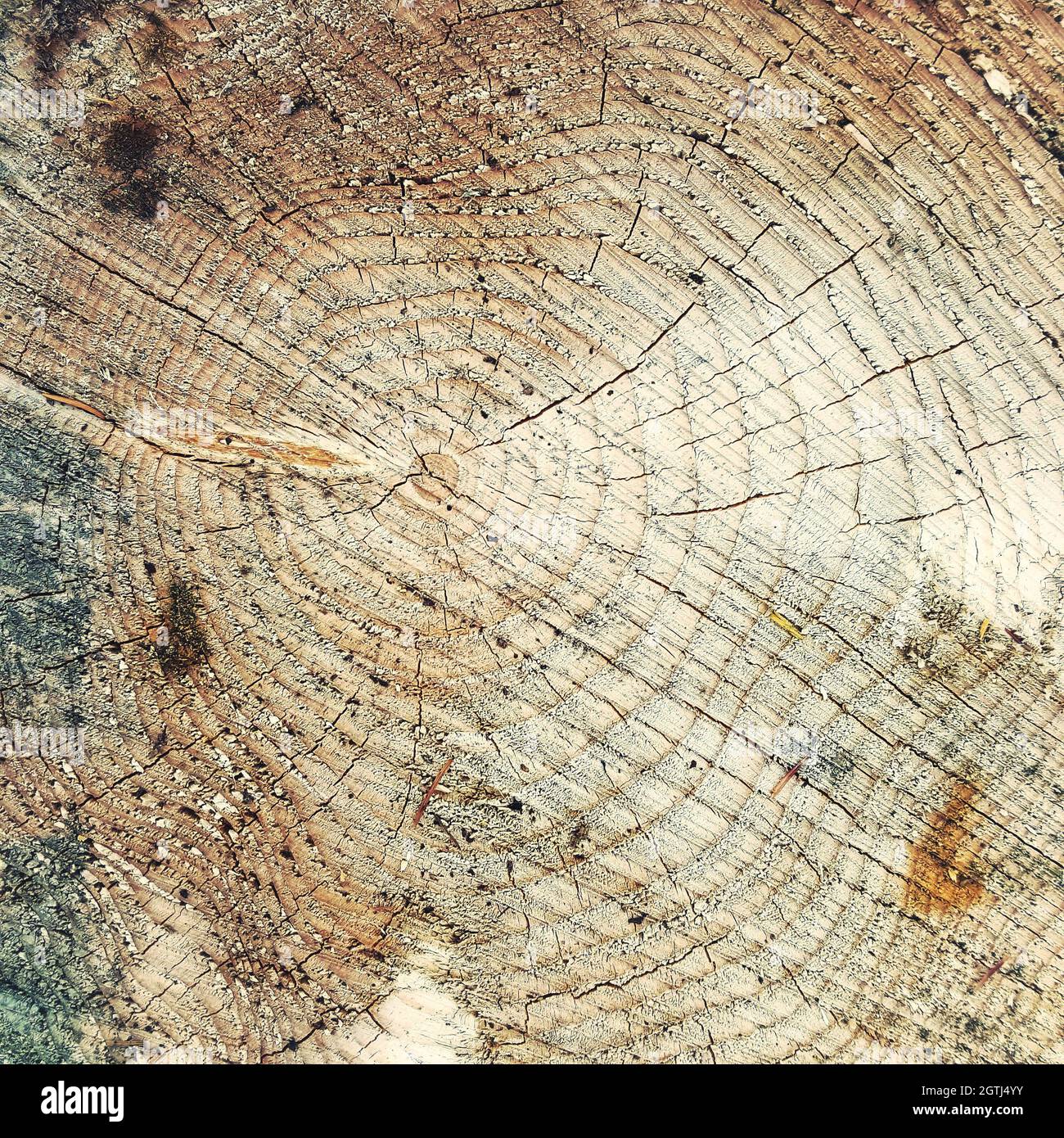 Timber cross hi-res stock photography and images - Alamy