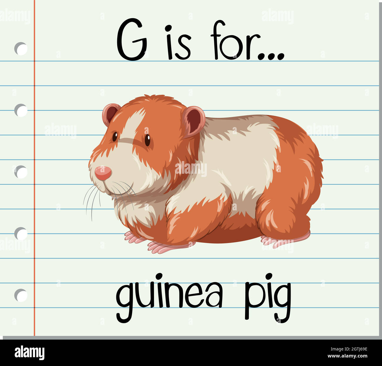 Guinea pig illustration hi-res stock photography and images - Alamy