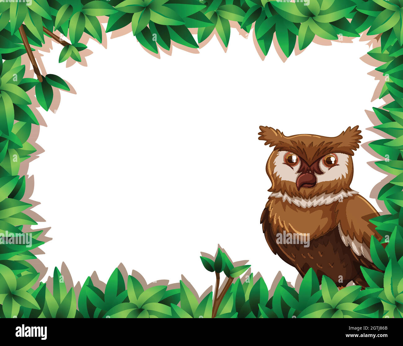 Owls Clipart Border