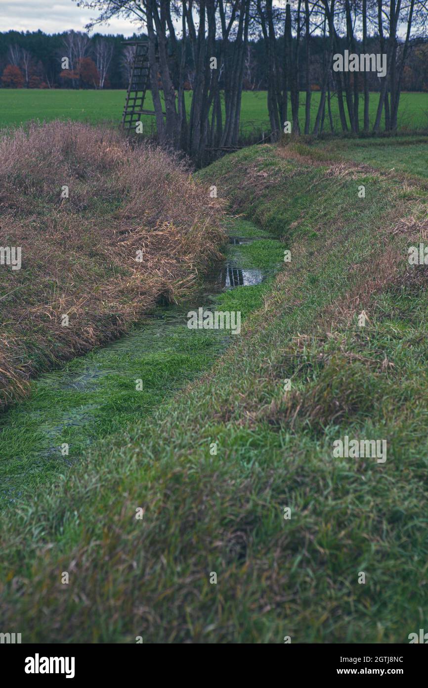 dried up riverbed on the countryside with trees Stock Photo - Alamy