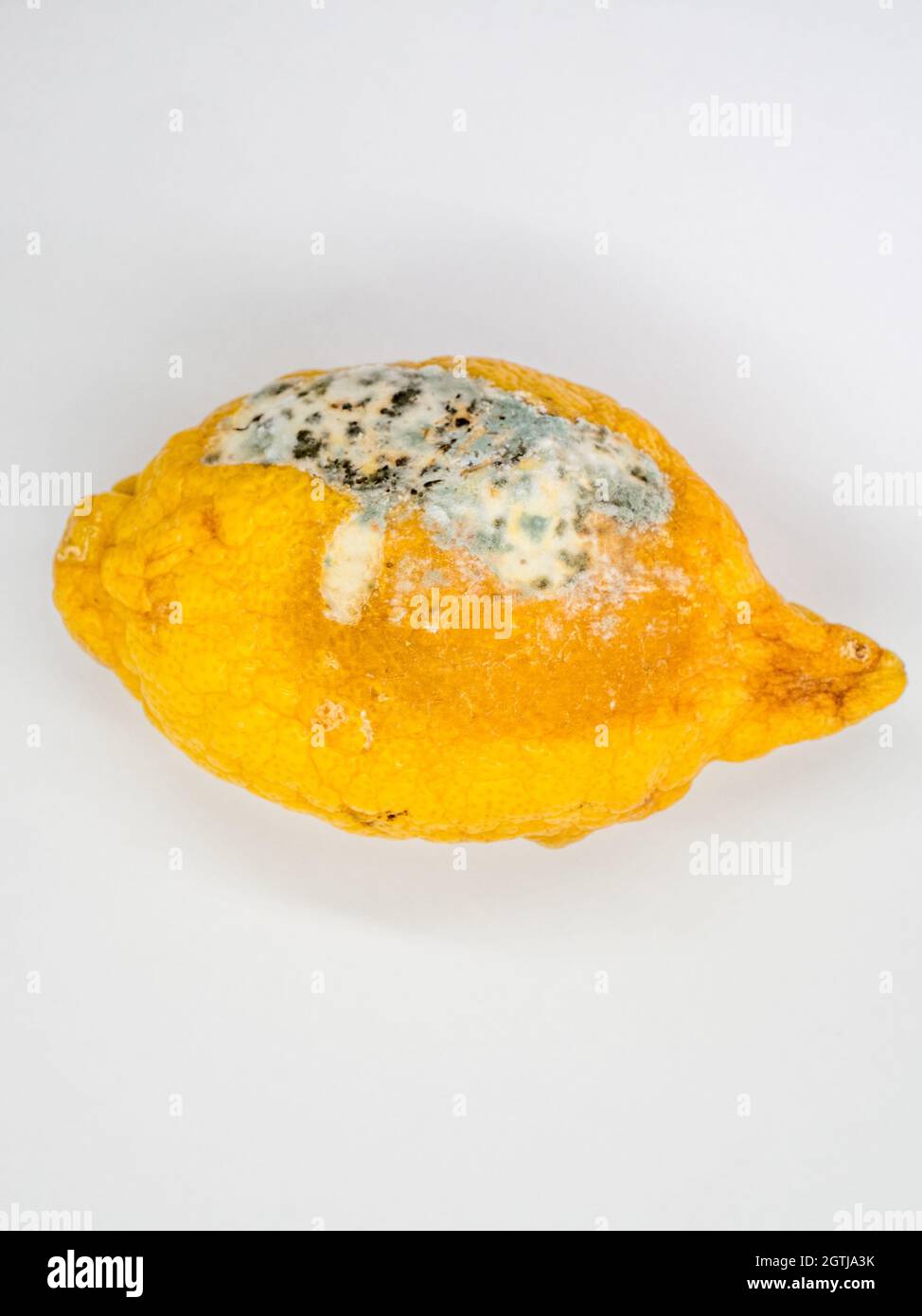 Green mold on lemon fruit hi-res stock photography and images - Alamy
