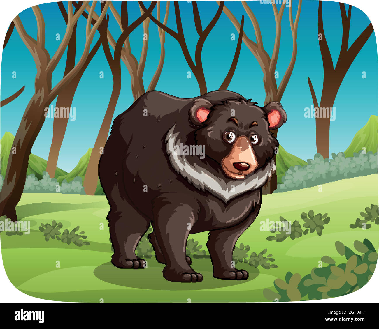 Black grizzly bear in Stock Vector Images - Alamy