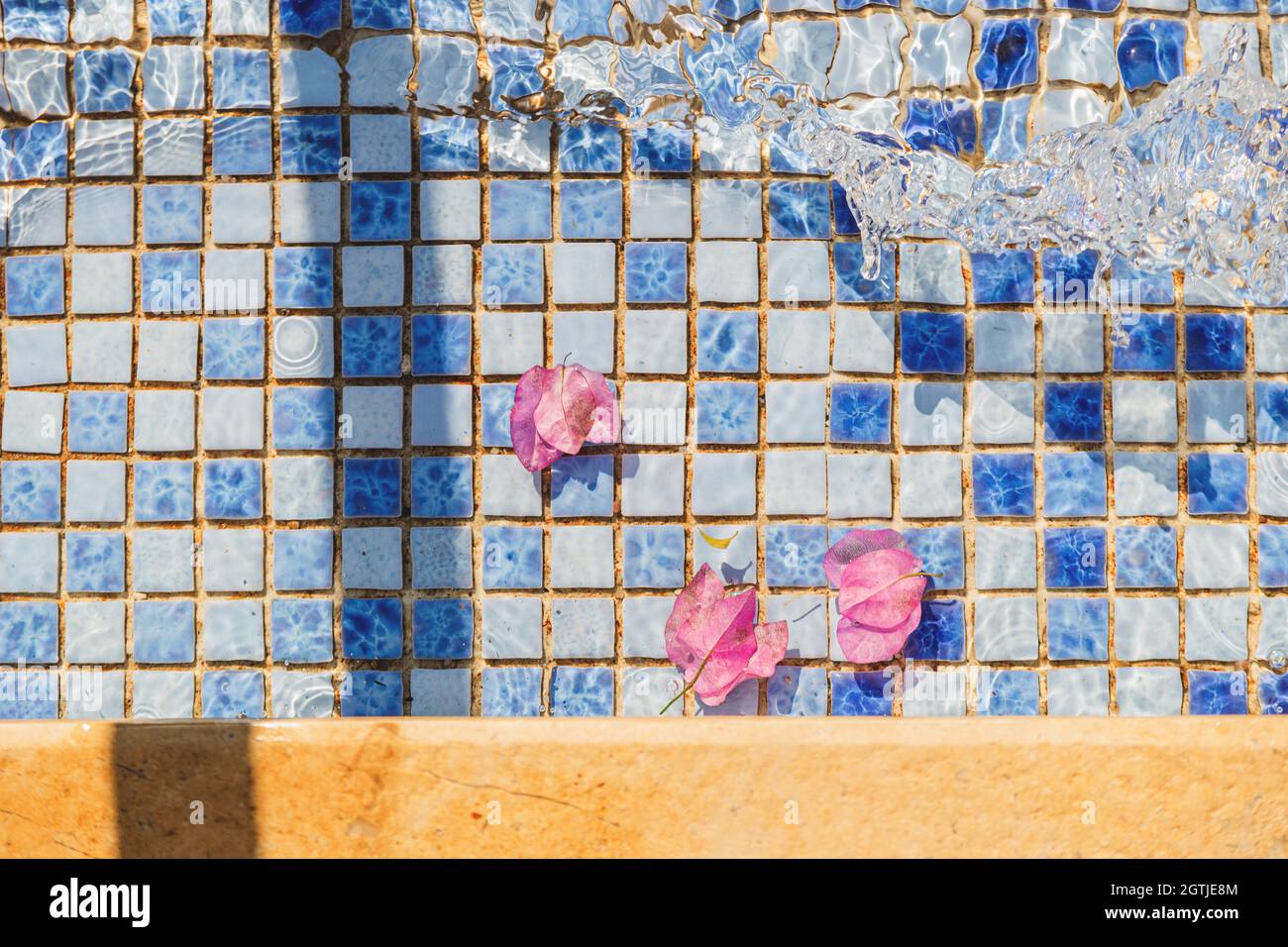 Flower petals in swimming pool hi-res stock photography and images - Alamy