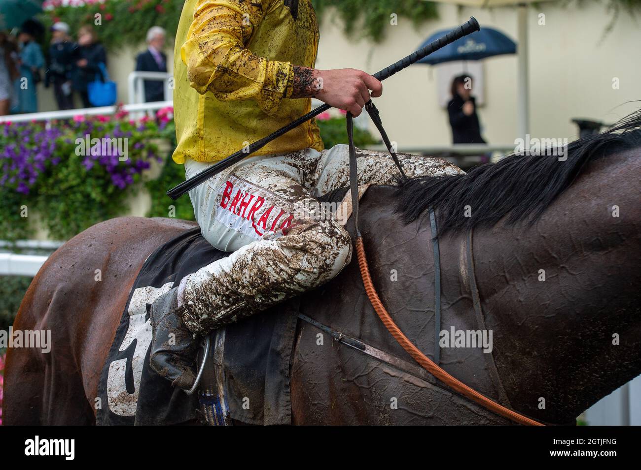 Flat jockey muddy hi-res stock photography and images - Alamy