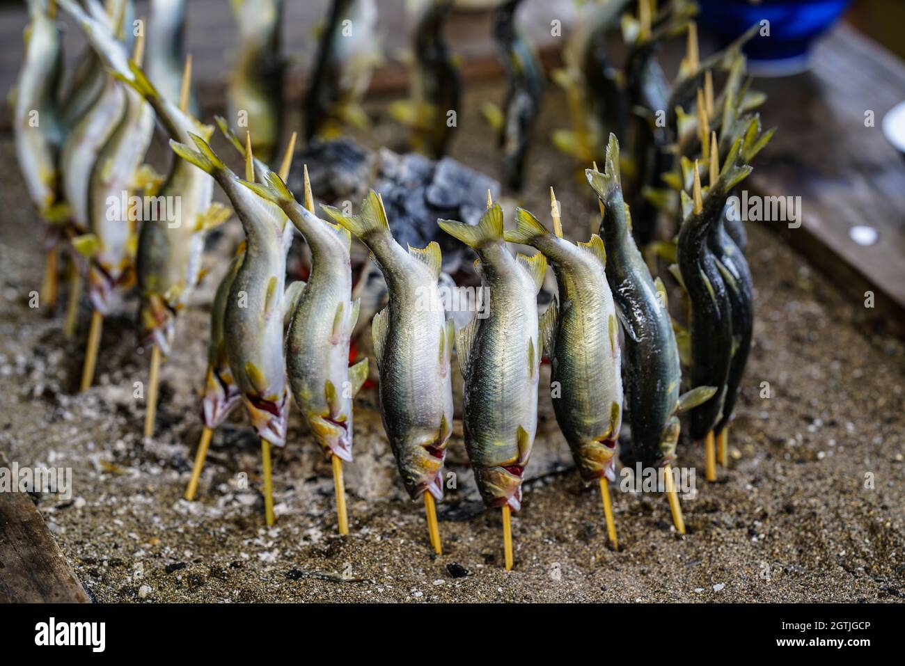Japan Ayu High Resolution Stock Photography and Images - Alamy