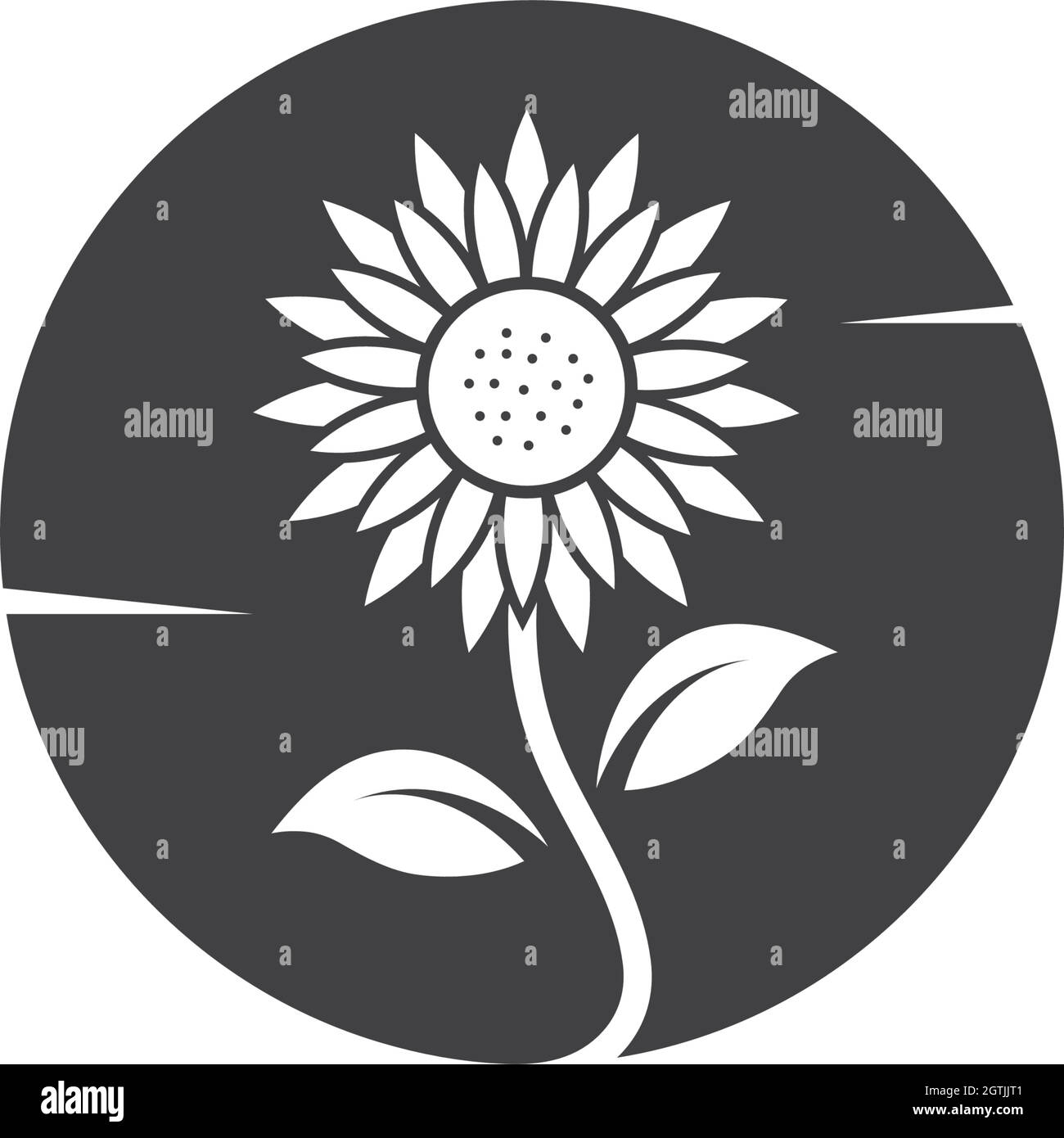 Sunflower logo icon vector Stock Vector Image & Art - Alamy