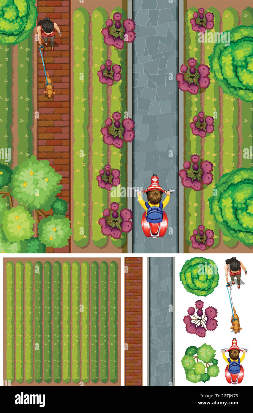 People walk dog outside Stock Vector Images - Alamy