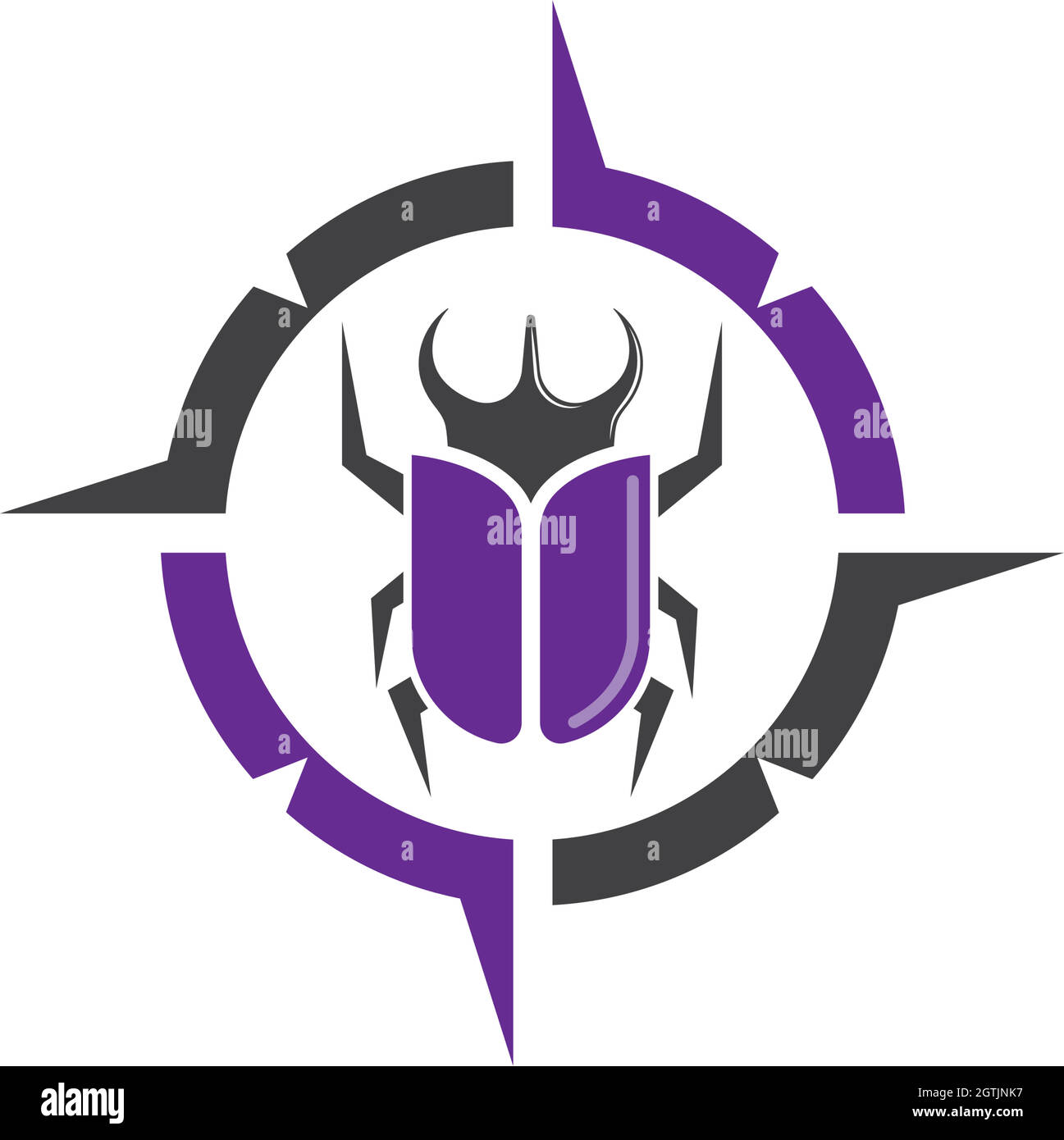 Calligrapha beetle hi-res stock photography and images - Alamy