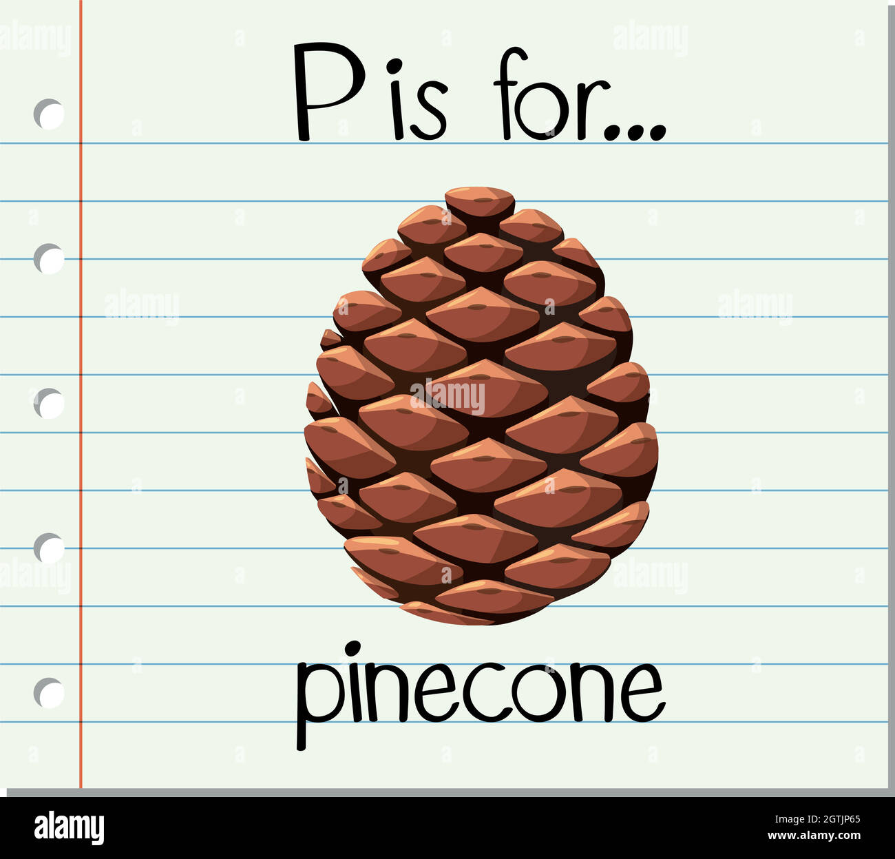 Flashcard letter P is for pinecone Stock Vector Image & Art - Alamy