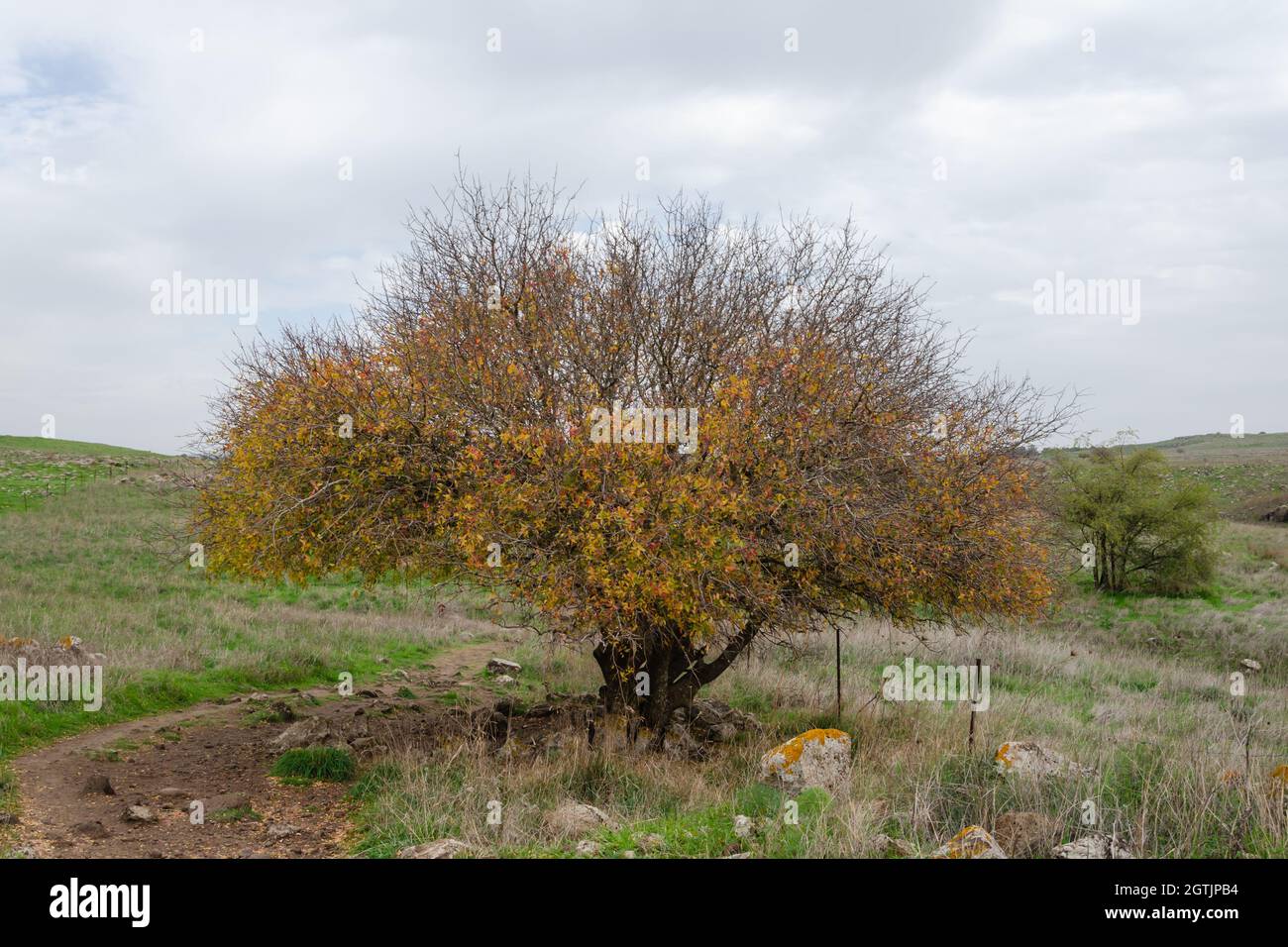 Rocky plain hi-res stock photography and images - Alamy