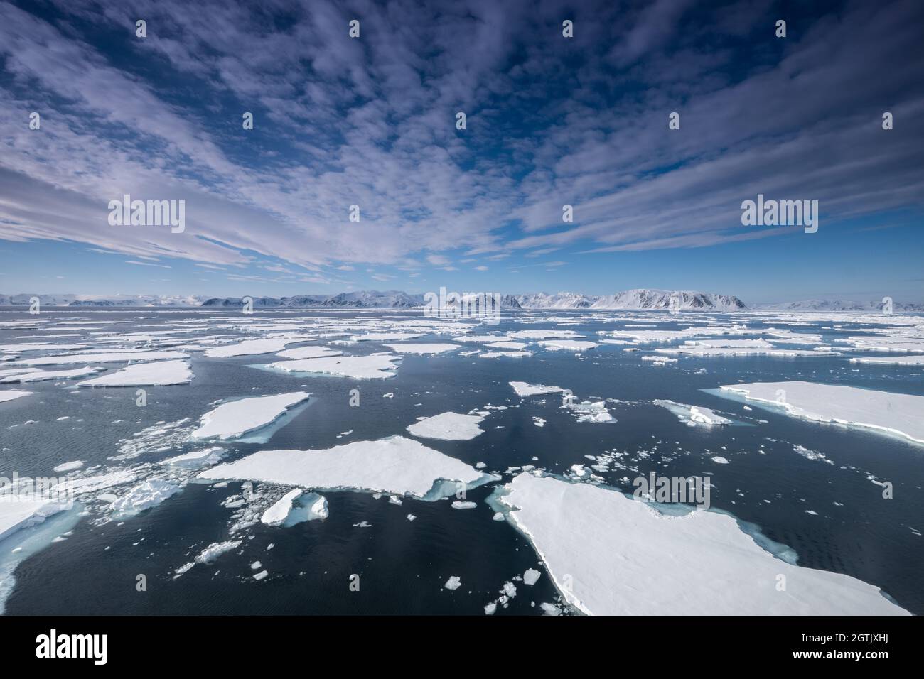 Floating pack ice in the arctic ocean hi-res stock photography and ...
