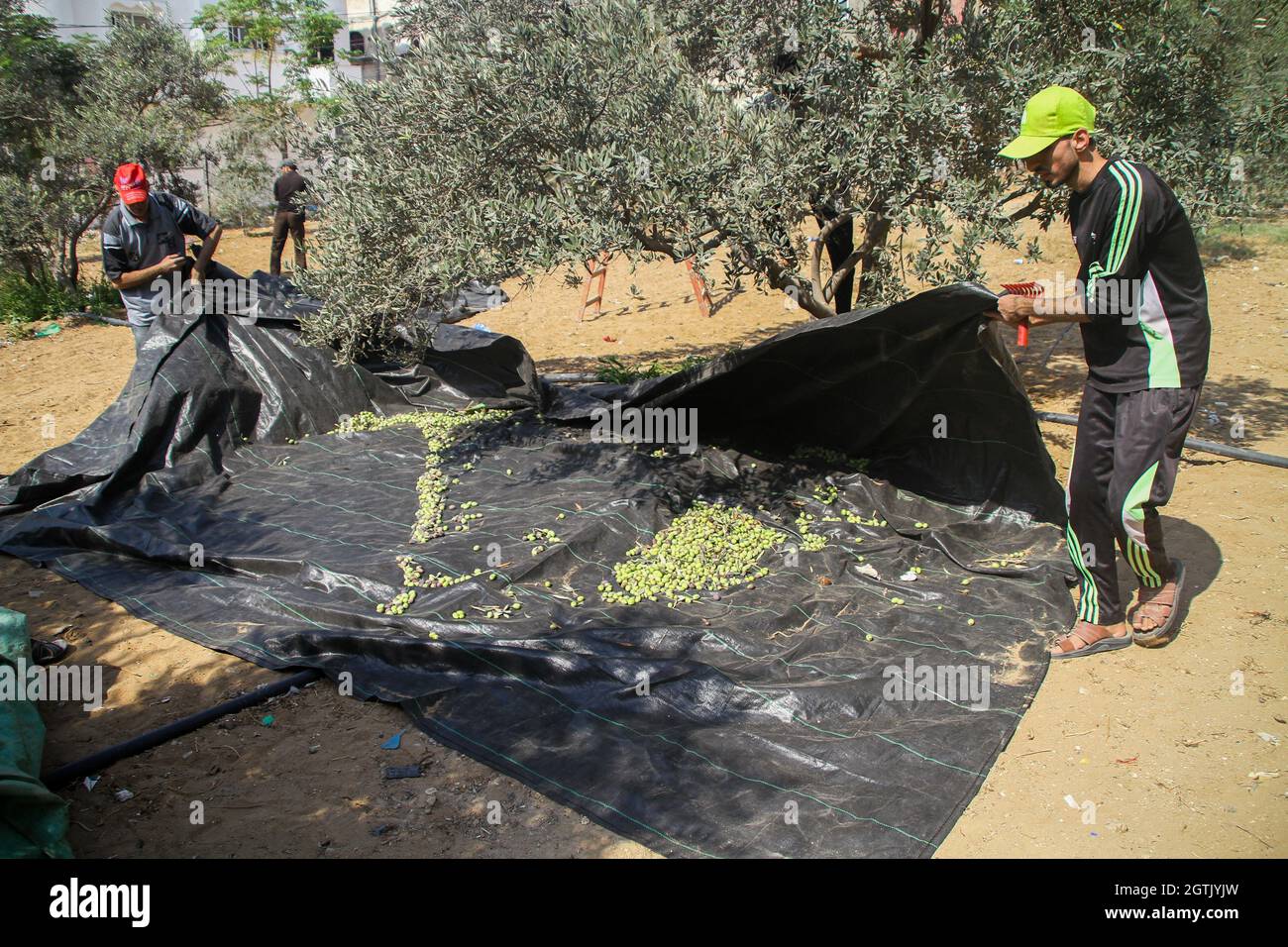 Al- Shujiaia, Gaza Strip, Palestine. 2nd Oct, 2021. Gaza Strip ...