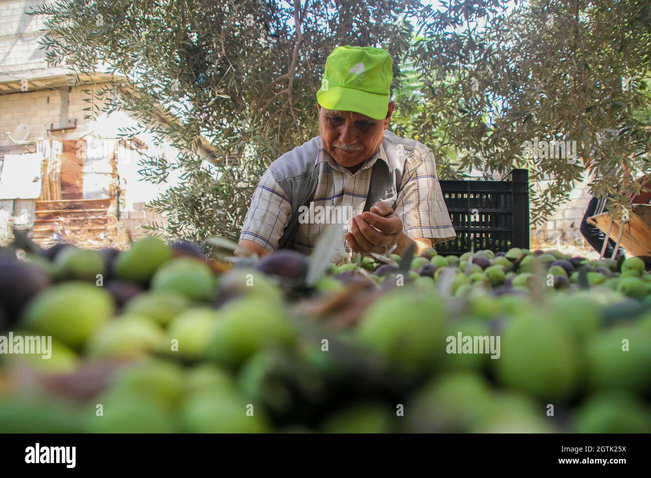 Al- Shujiaia, Gaza Strip, Palestine. 2nd Oct, 2021. Gaza Strip ...