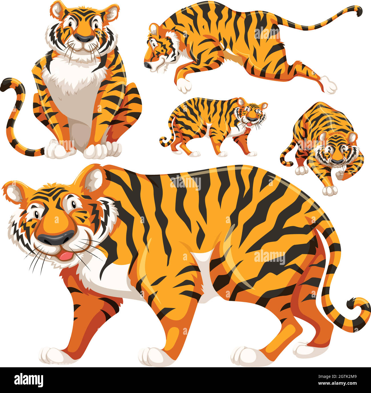 Set of wild tigers Stock Vector Image & Art - Alamy