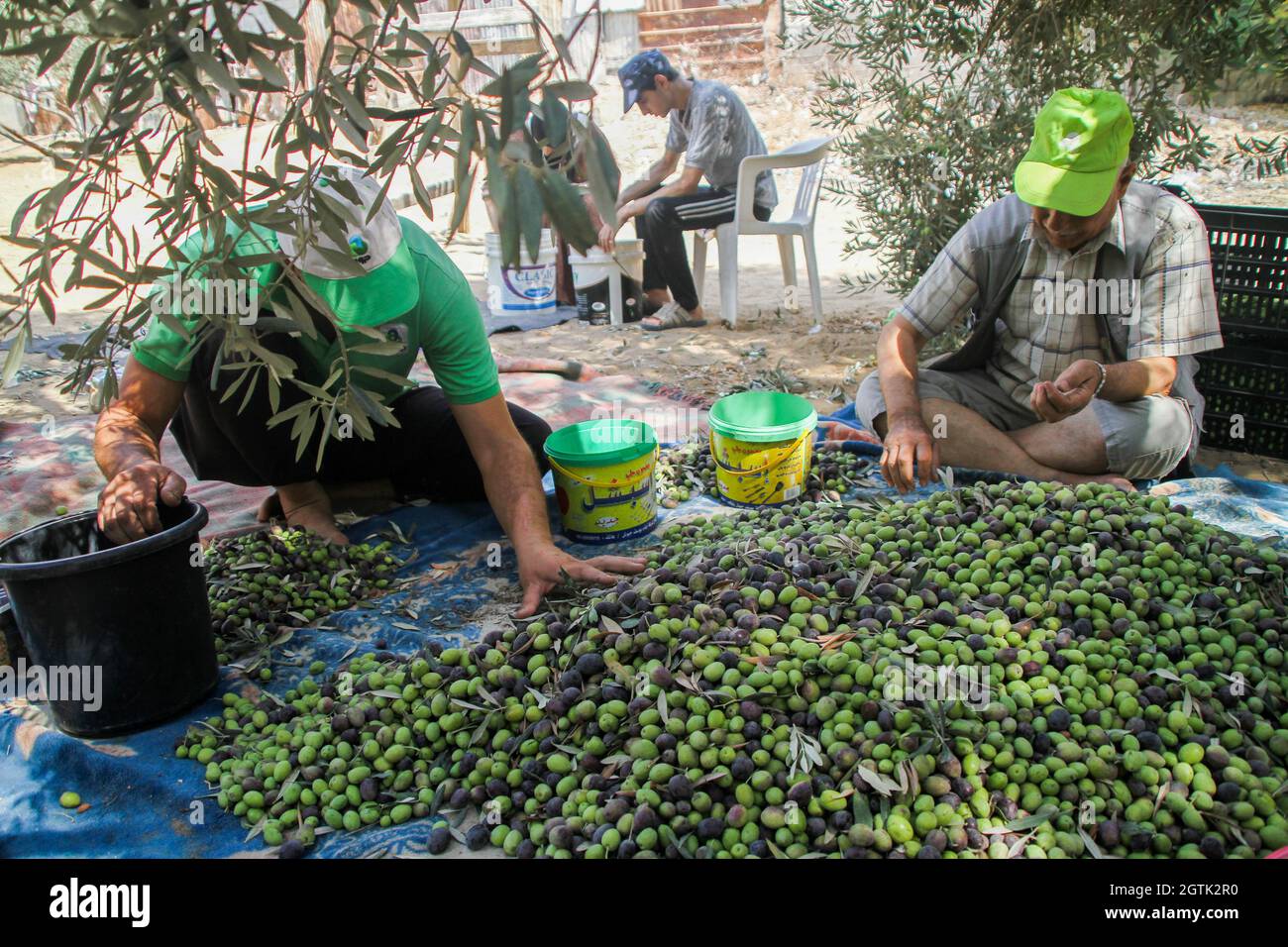 Al- Shujiaia, Gaza Strip, Palestine. 2nd Oct, 2021. Gaza Strip ...