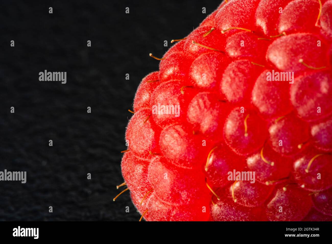 Macro Fruit: Ripe raspberry extreme close-up, black background ...