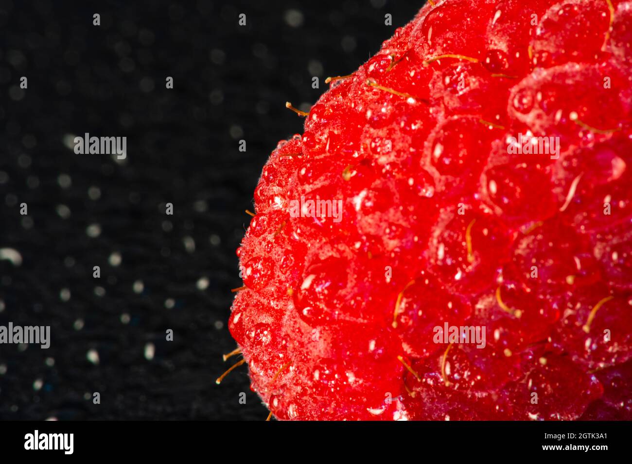Macro Fruit: Ripe raspberry extreme close-up, black background ...