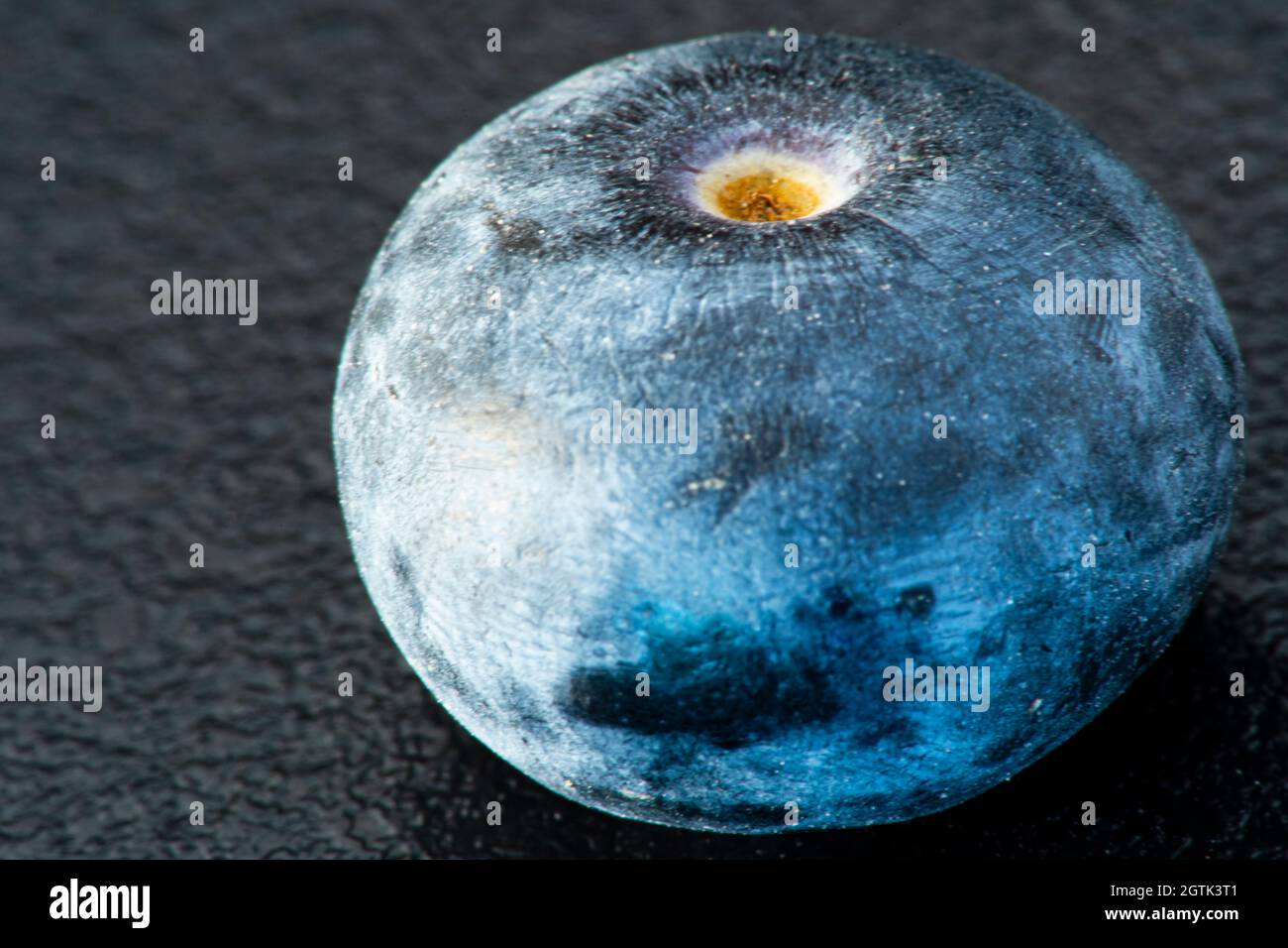 Macro Fruit: Ripe blueberry extreme close-up, black background ...