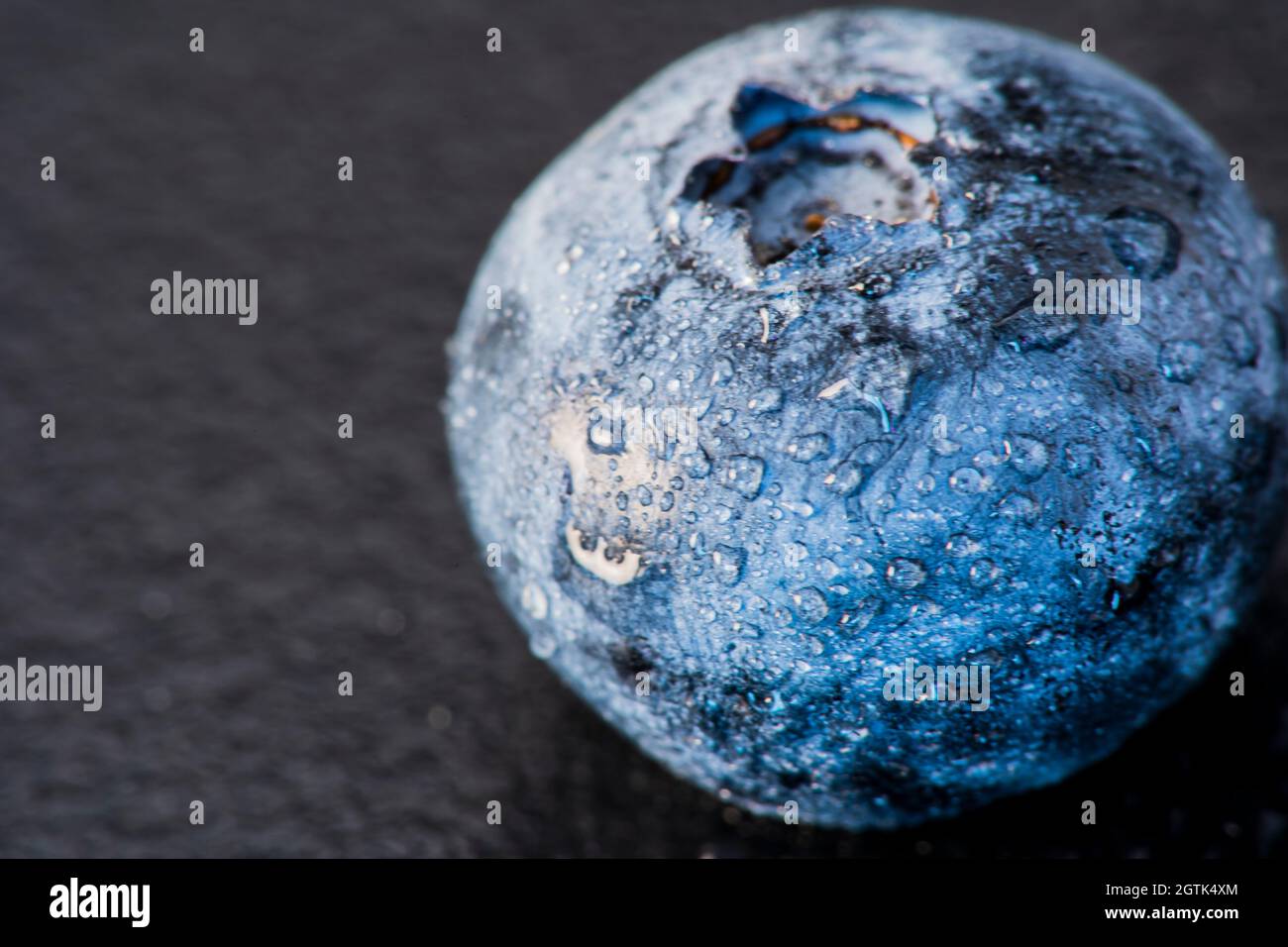 Macro Fruit: Ripe blueberry extreme close-up, black background ...