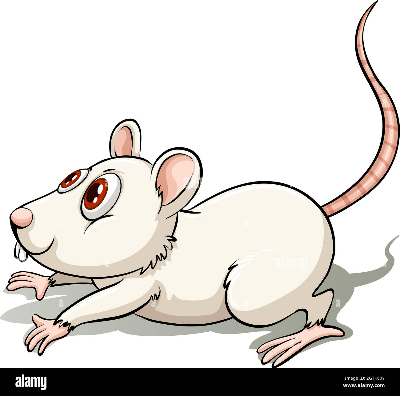 Rat in a jumping position Stock Vector Image & Art - Alamy