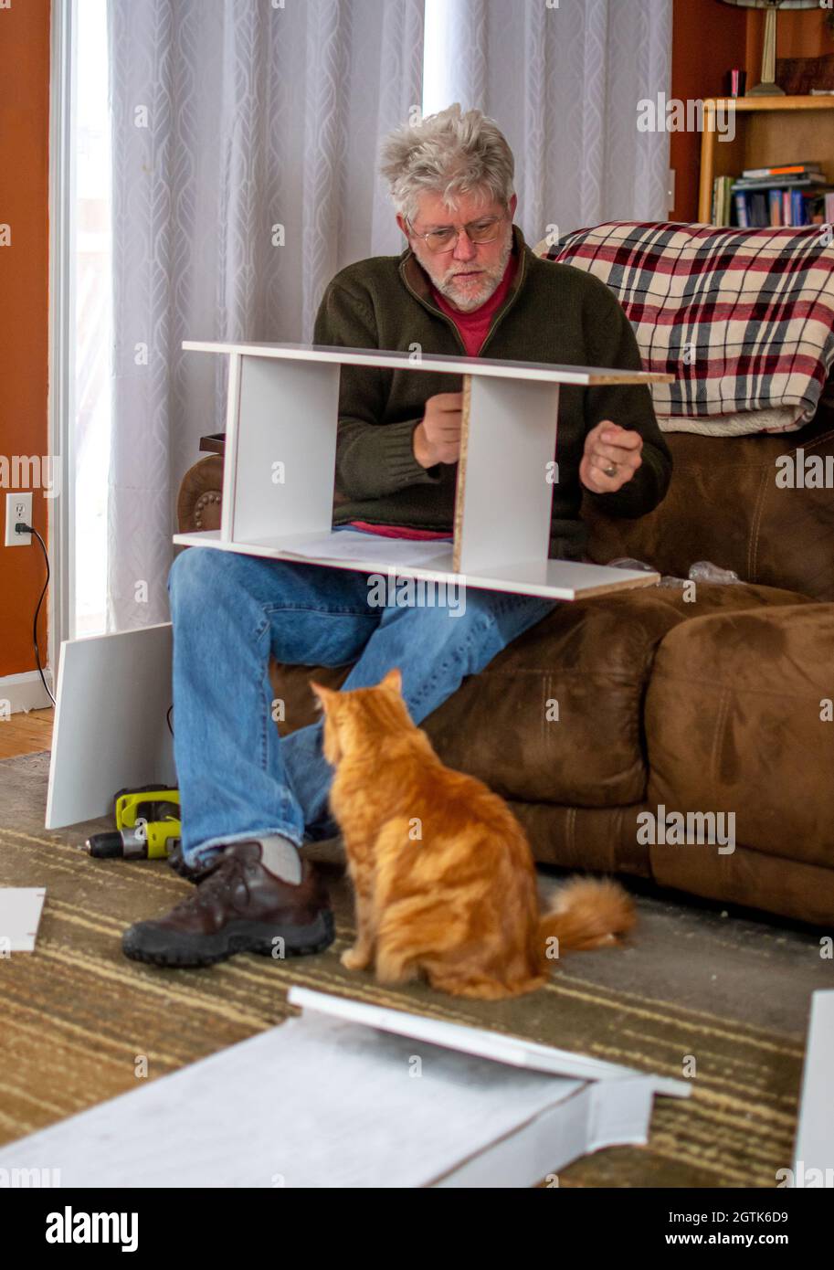 Cat watches man hi-res stock photography and images - Alamy