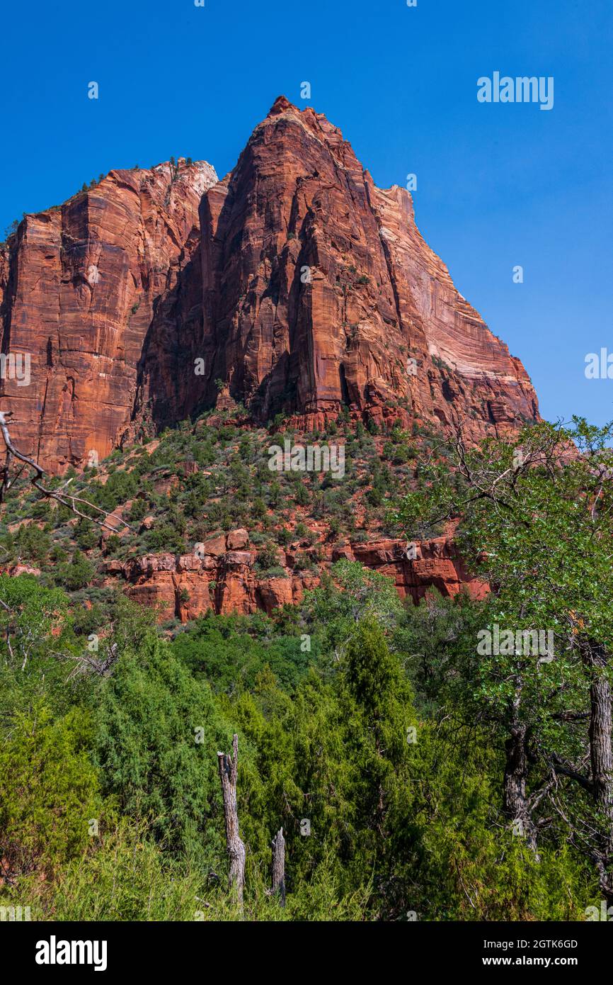 Mt zion national park hi-res stock photography and images - Alamy