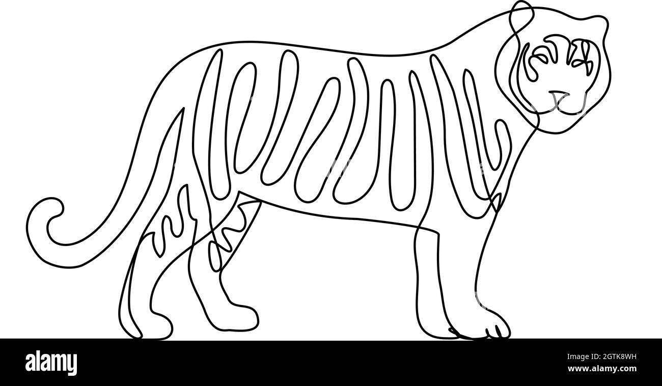Standing tiger line art vector illustraion Stock Vector Image & Art - Alamy