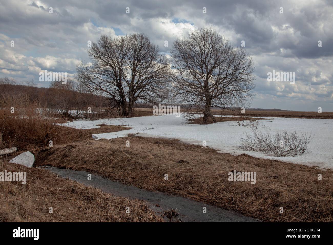 Spring streams and the remnants of unmelted snow under the cloudy sky ...