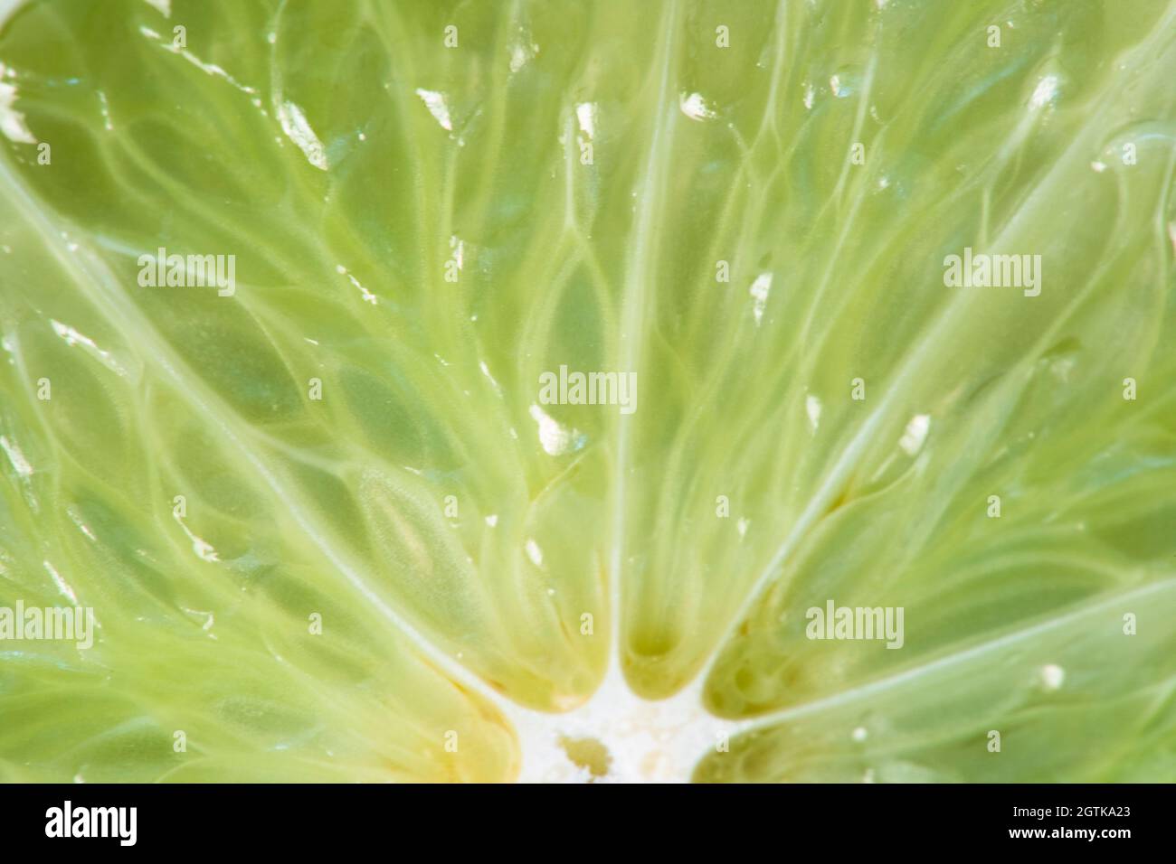 Macro fruit: Ripe lime slice extreme close-up with black background ...