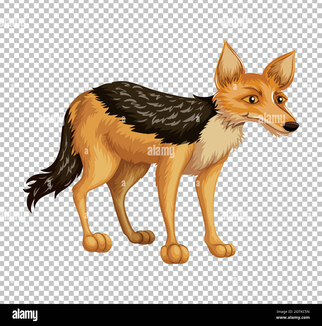 Wild dingo on transparent background Stock Vector Image & Art - Alamy