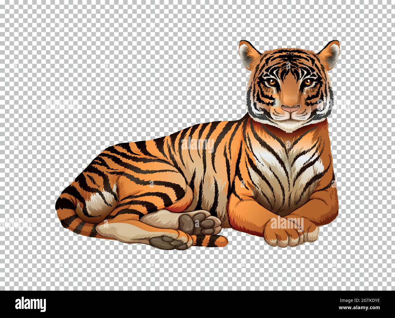 Wild tiger on transparent background Stock Vector Image & Art - Alamy