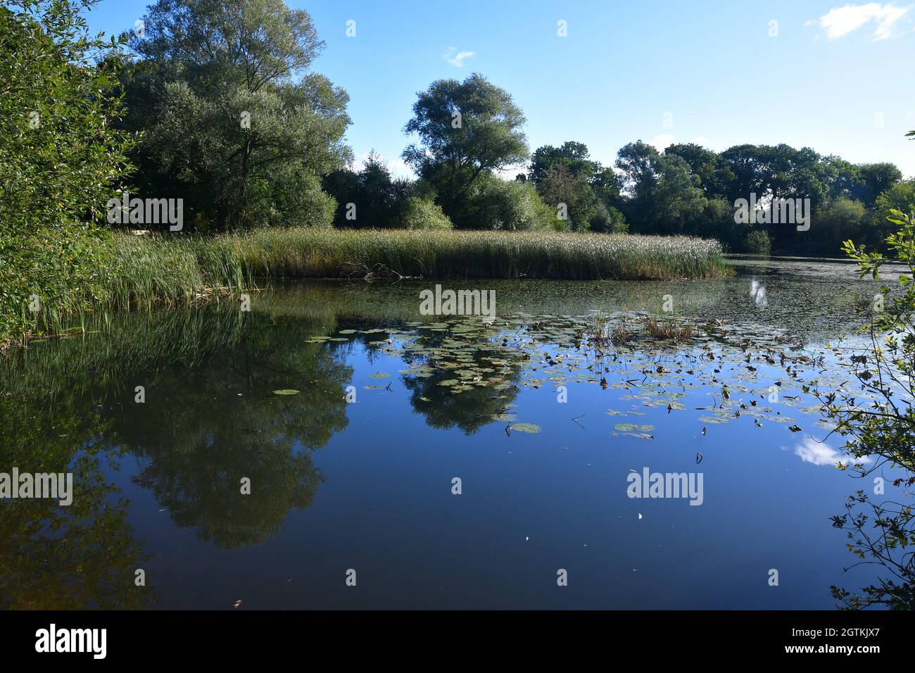 Barnwell Country Park, Barnwell, Northamptonshire, UK Stock Photo - Alamy