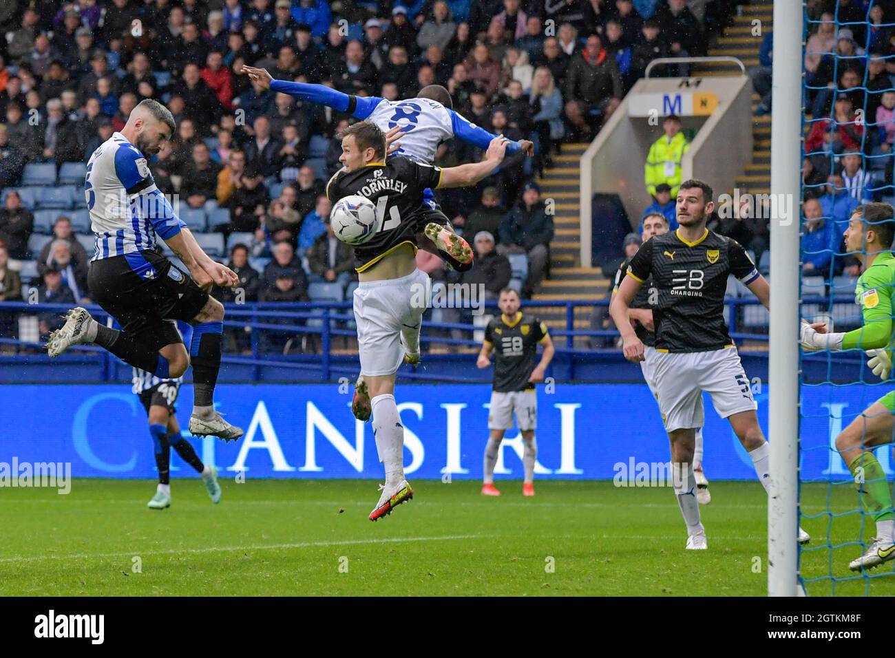 Callum Paterson #13 of Sheffield Wednesday scores a goal to make it 1-1 ...