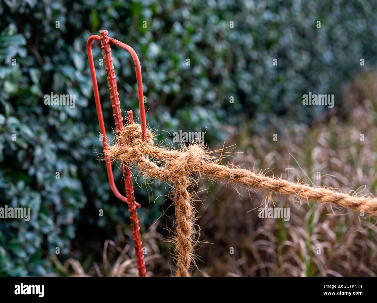 Hemp Rope With Knot Stock Photo - Alamy