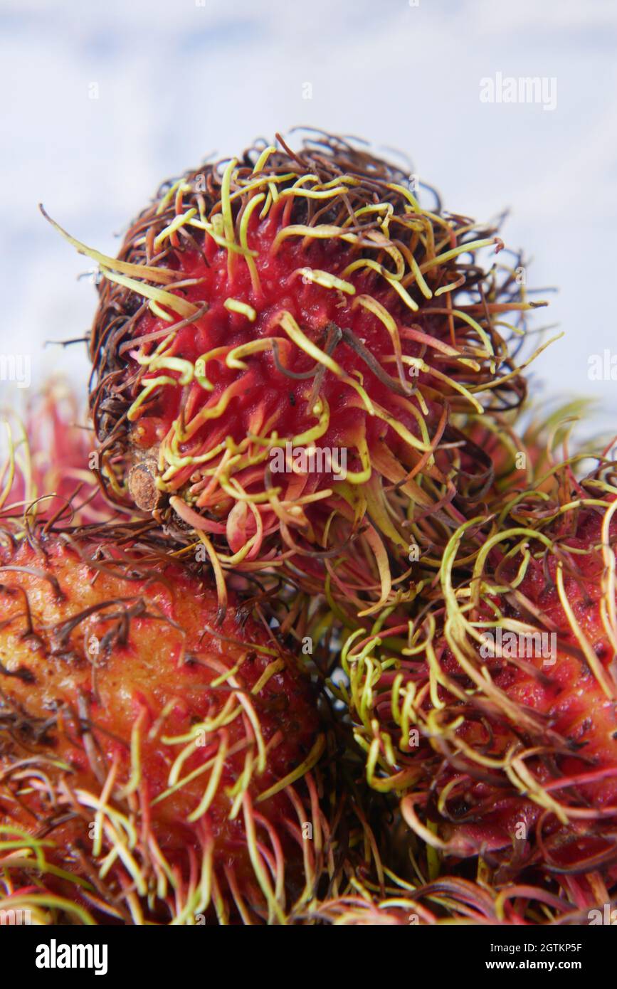 Stack rambutan in chopping board hi-res stock photography and images ...