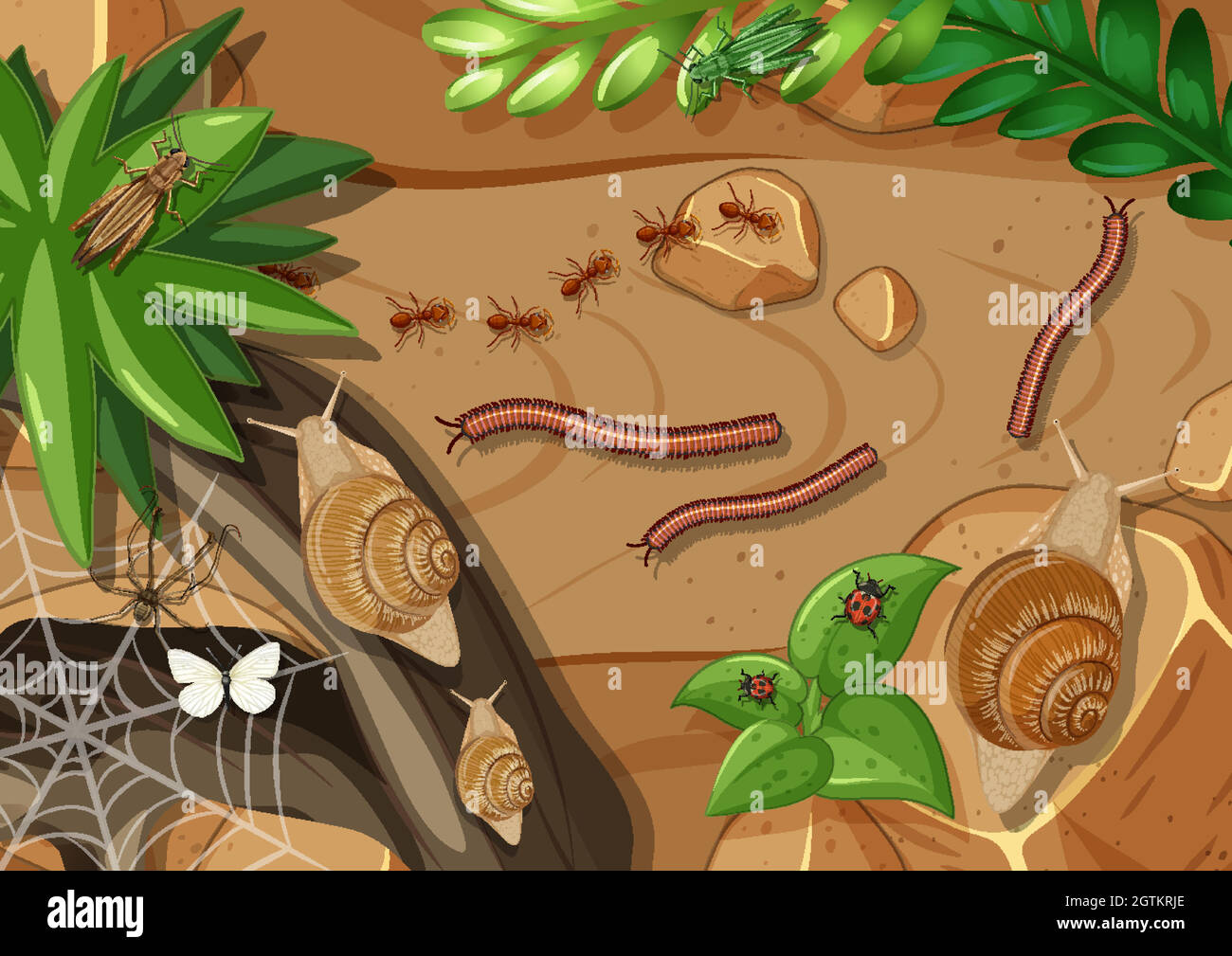 Garden top Stock Vector Images - Alamy