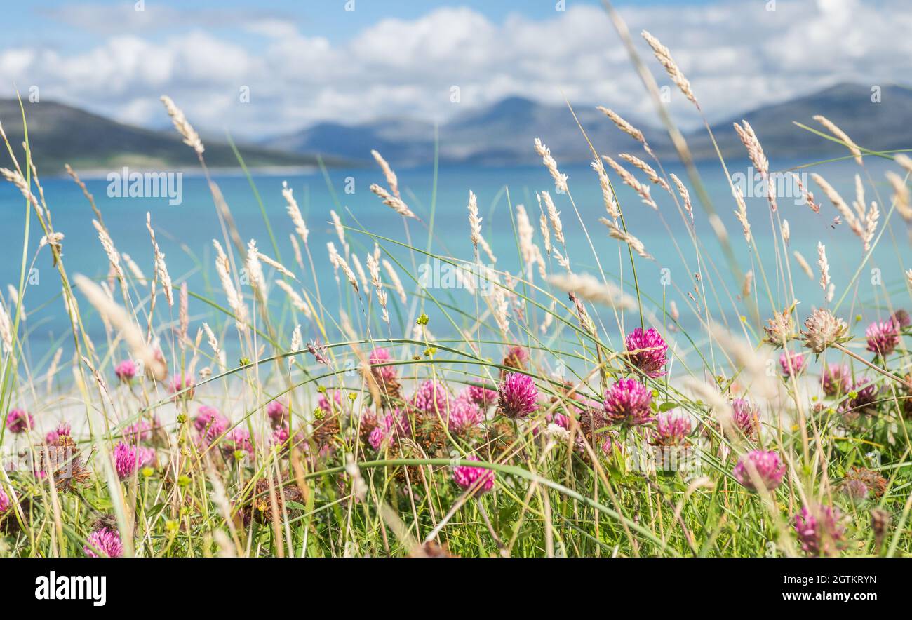 Weave camera hi-res stock photography and images - Alamy