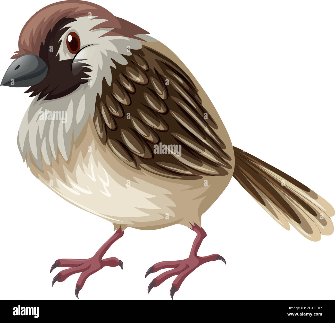 Little sparrow with brown feather Stock Vector Image & Art - Alamy