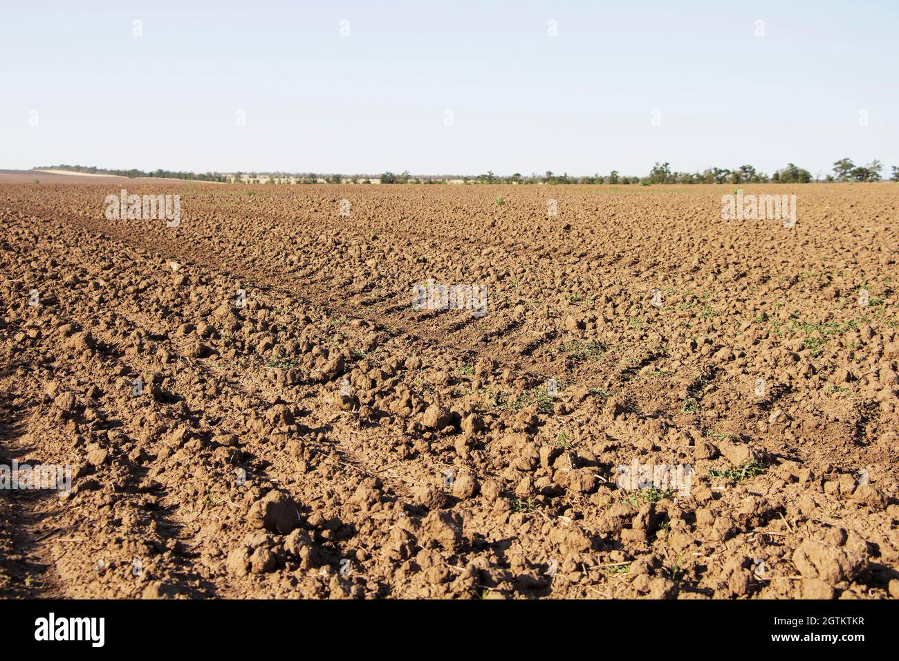 Agricultural Background Of Newly Plowed Field Furrows Ready For New ...