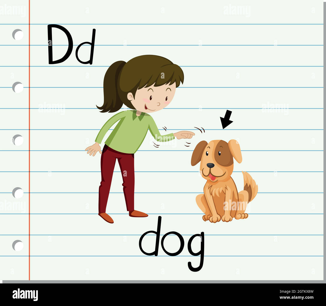 Flashcard letter D is for dog Stock Vector Image & Art - Alamy